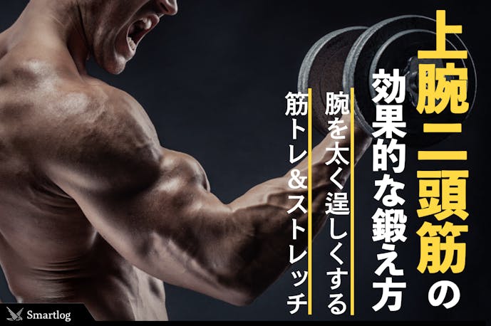 上腕二頭筋の筋トレ＆ストレッチ特集｜腕を太くする効果的な鍛え方とは Smartlogボディメイク